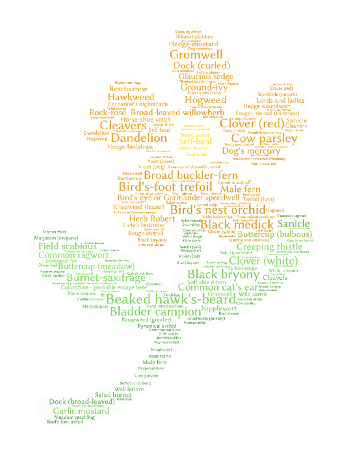 About Folly Wood - Stroudwoods