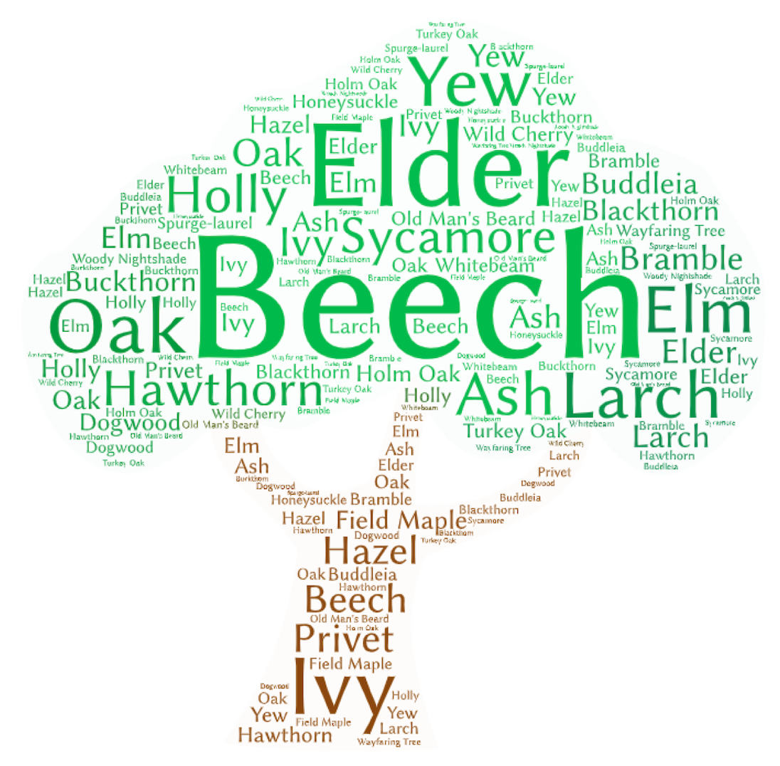 About Folly Wood - Stroudwoods